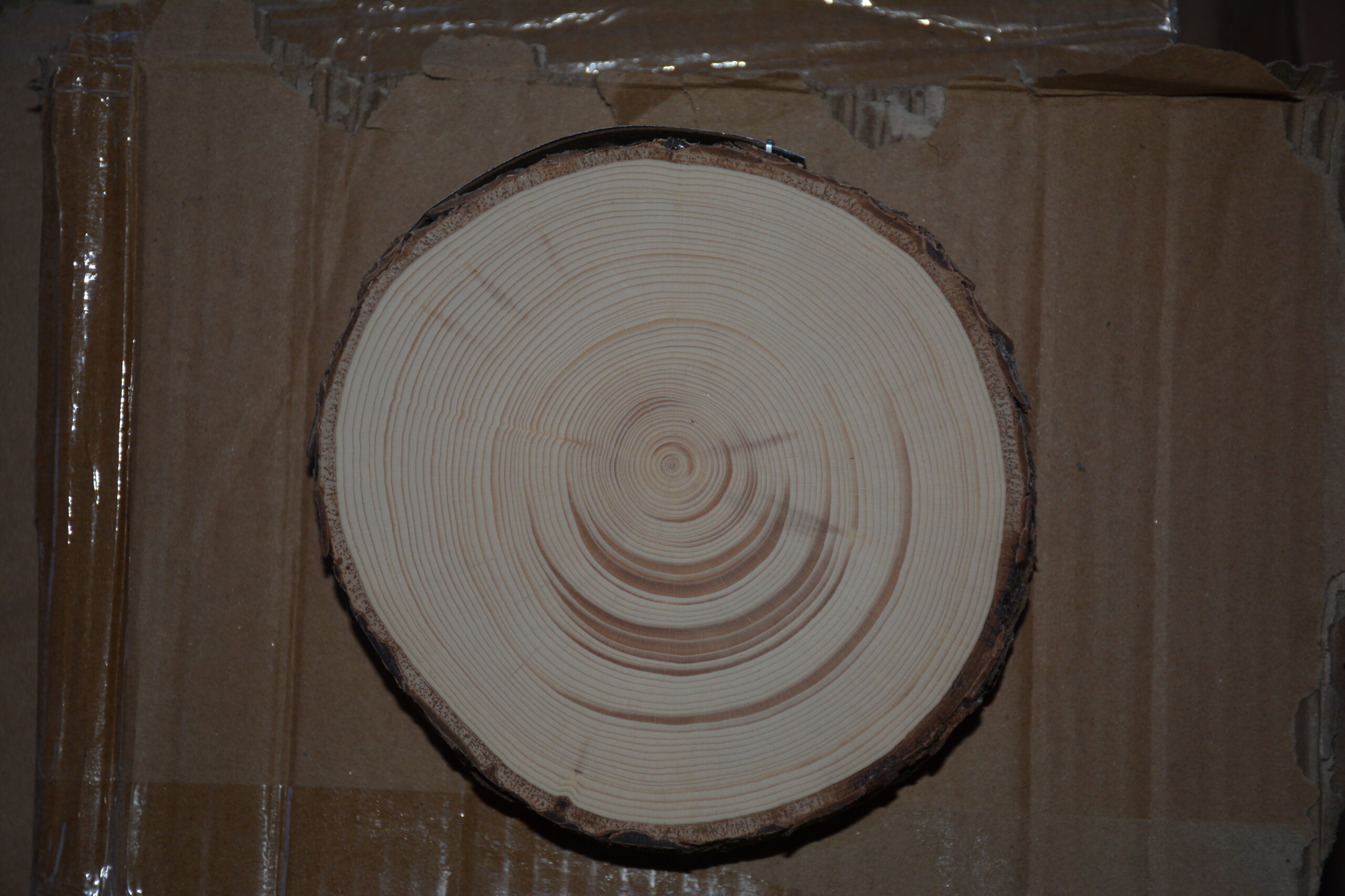 Avalanche Information | Center for Snow and Avalanche Studies