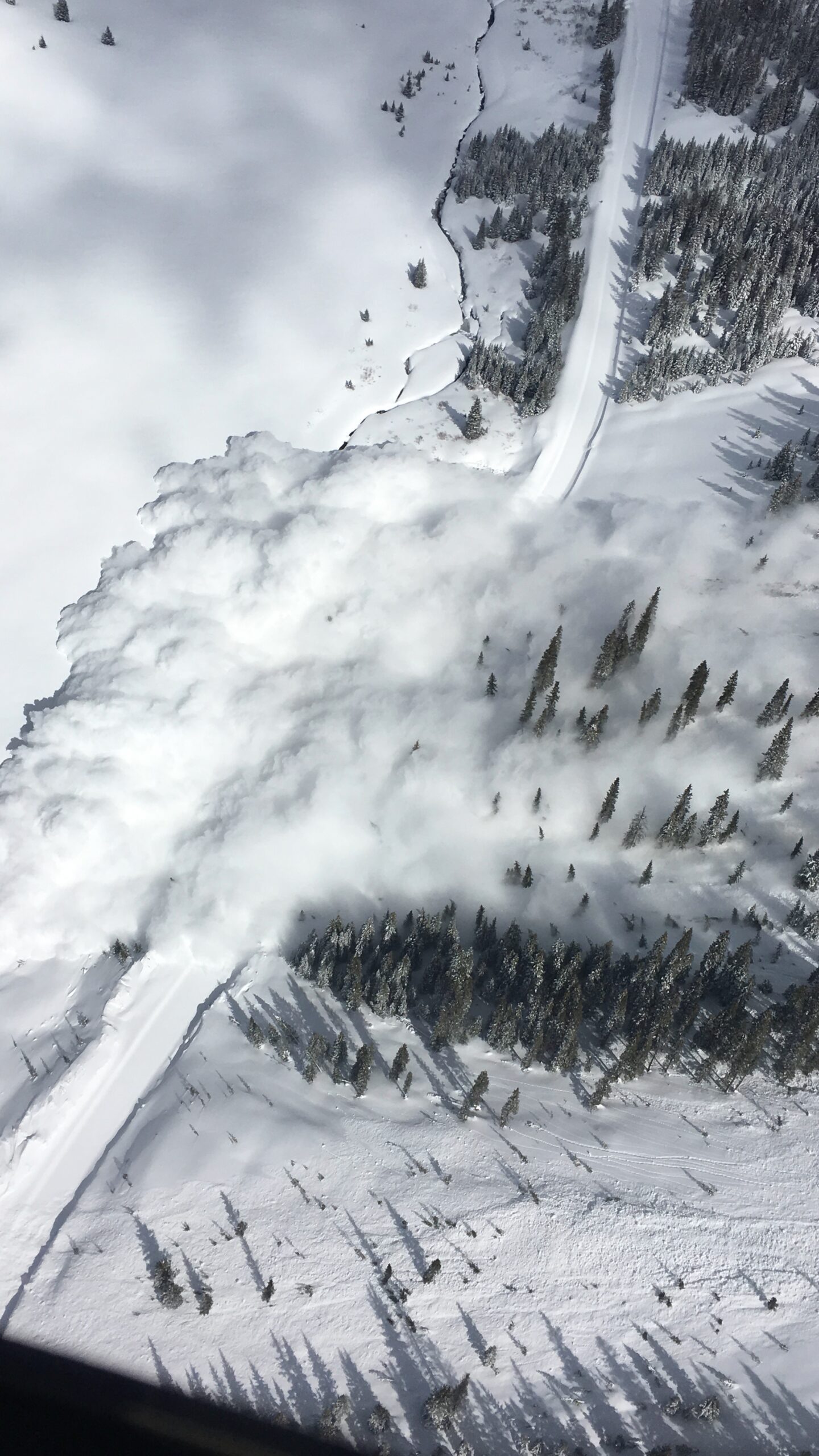 Avalanche Information | Center for Snow and Avalanche Studies