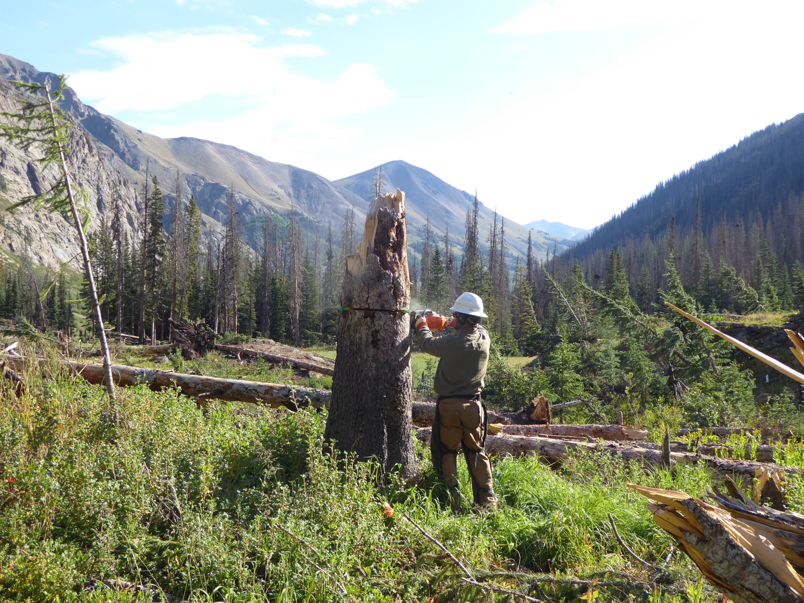 Avalanche Information | Center for Snow and Avalanche Studies