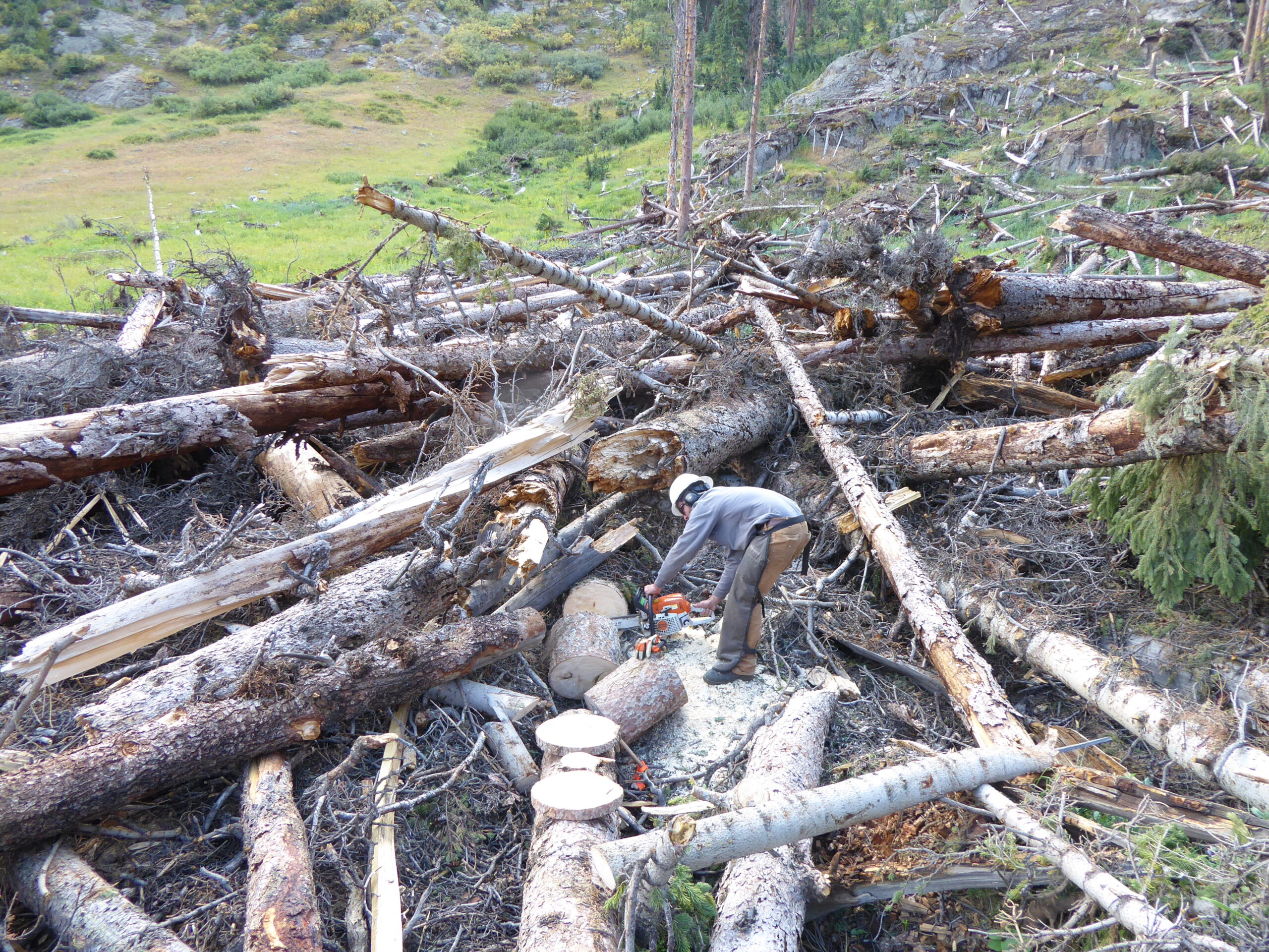 Avalanche Information | Center for Snow and Avalanche Studies