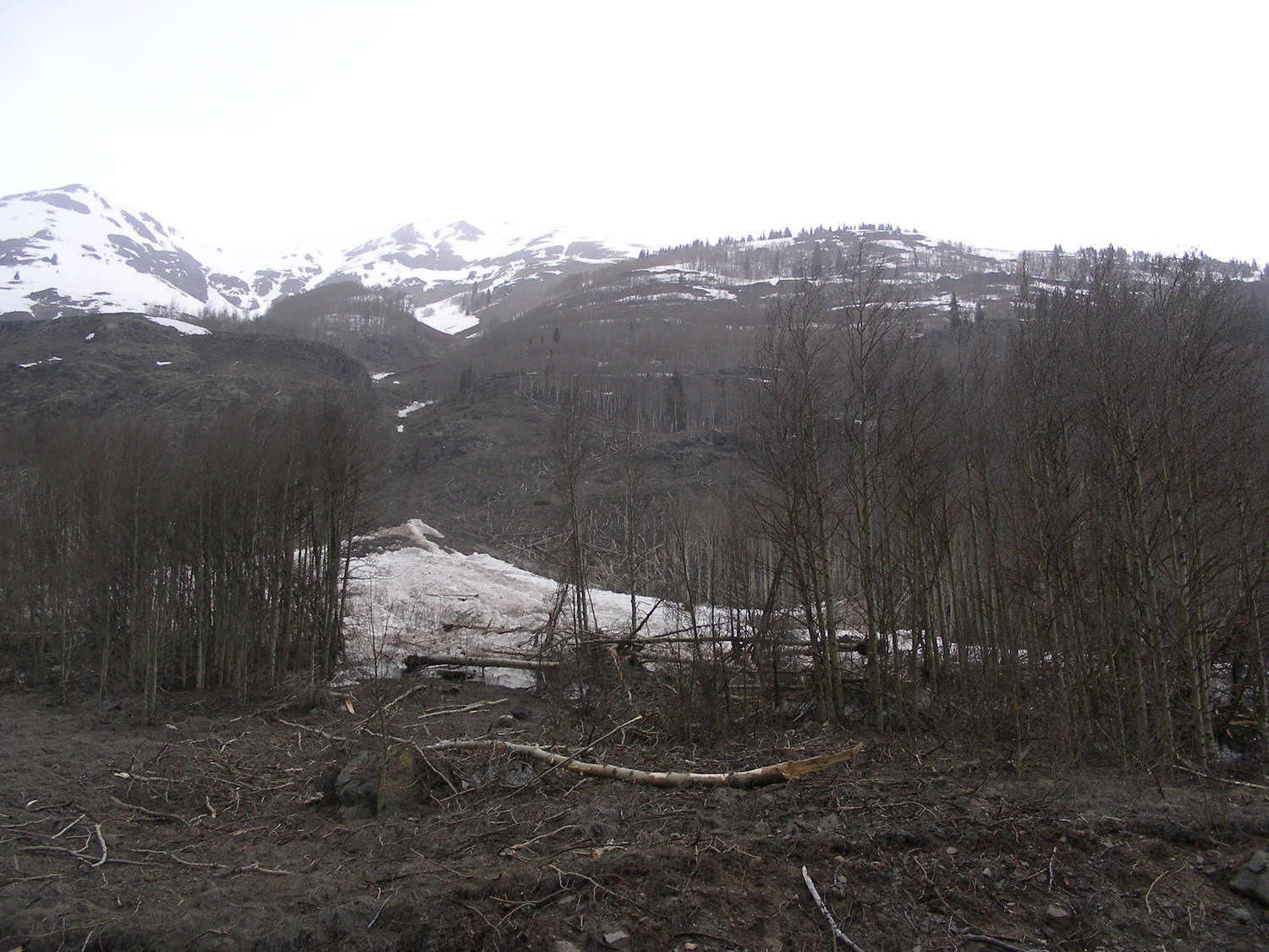 Avalanche Information | Center for Snow and Avalanche Studies