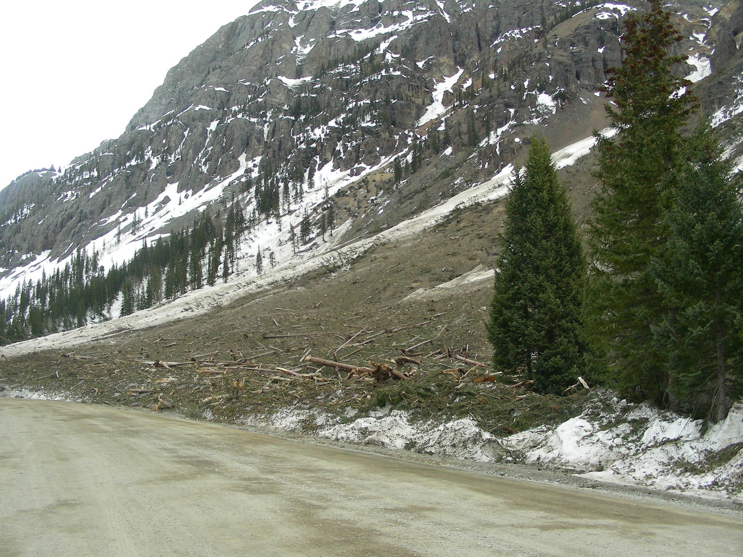 Avalanche Information | Center for Snow and Avalanche Studies