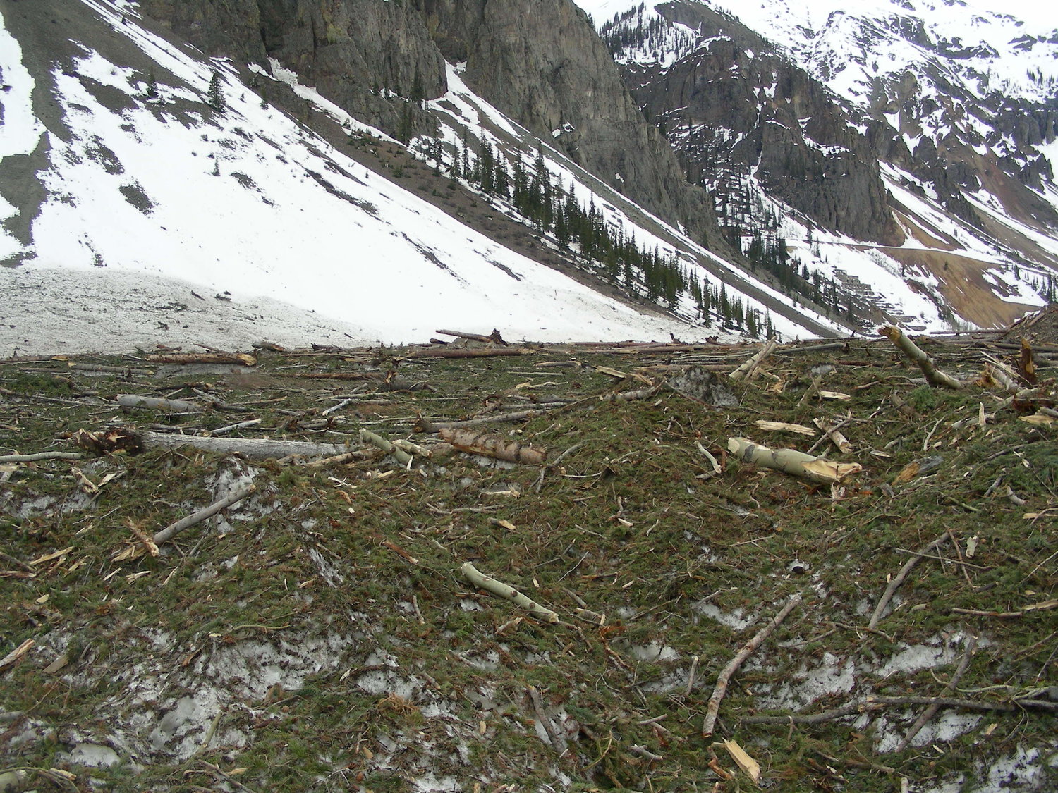 Avalanche Information | Center for Snow and Avalanche Studies